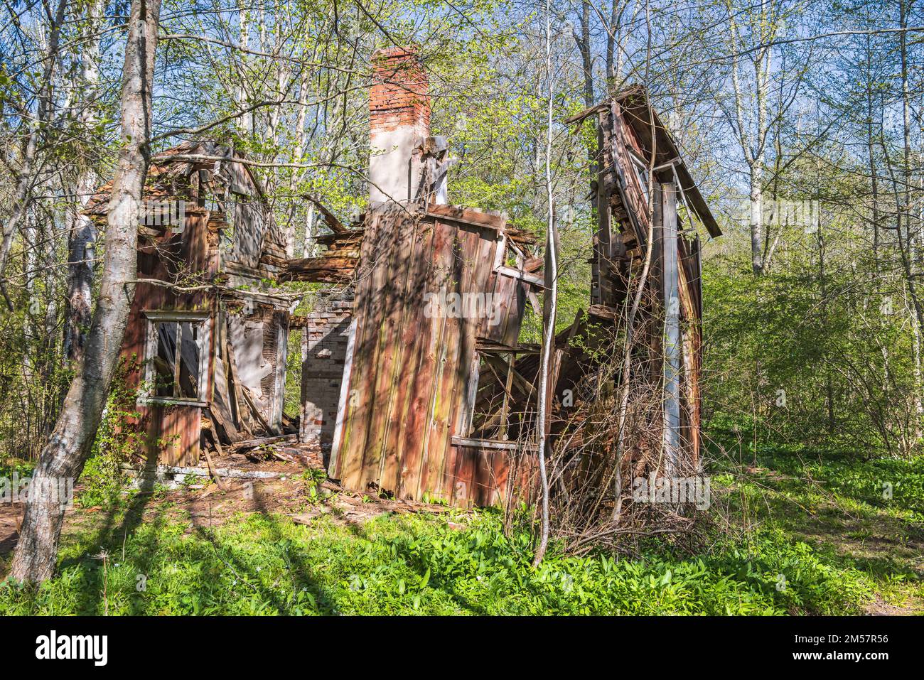 Ruined cottage in forest hi-res stock photography and images - Alamy