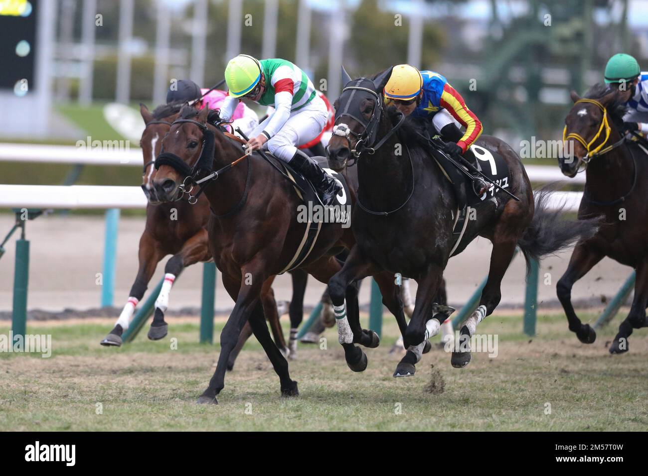 Hyogo, Japan. 25th Dec, 2022. Qedesh and Ryusei Sakai win the Inagawa ...