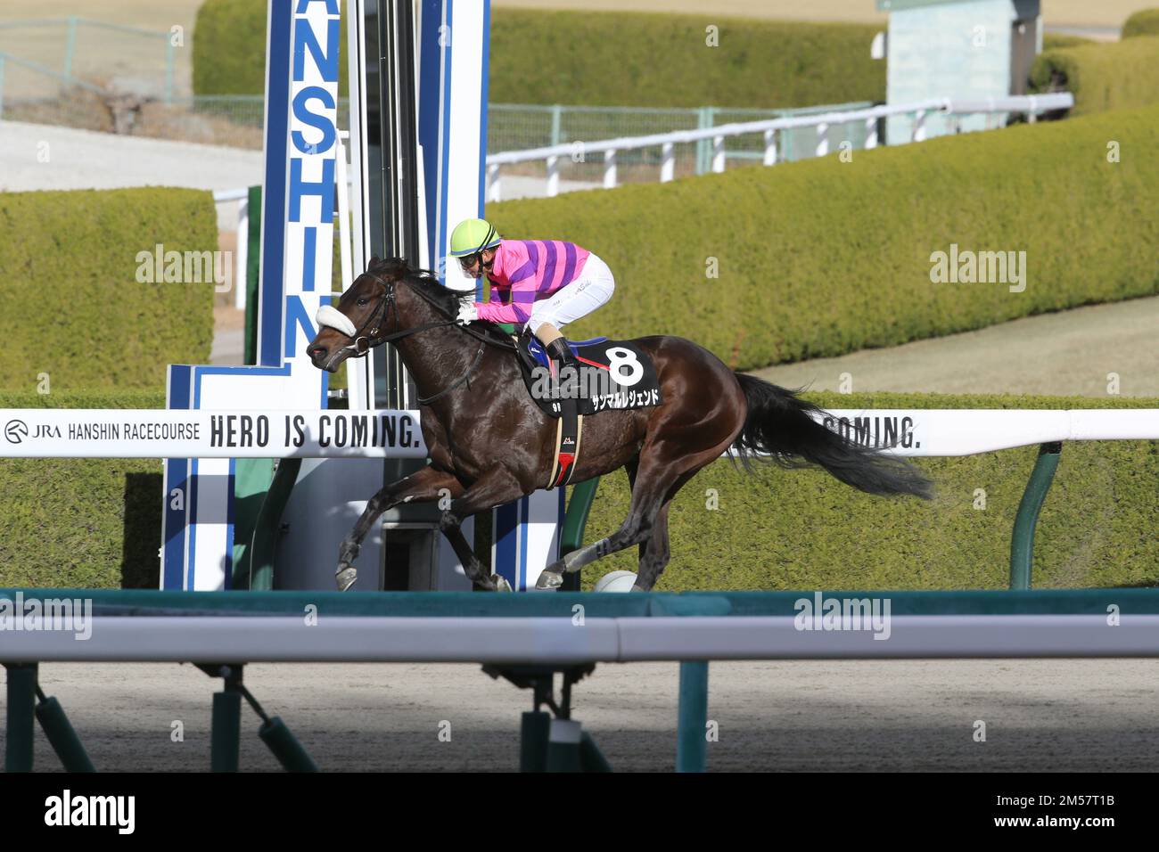 Manabu sakai hi-res stock photography and images - Alamy