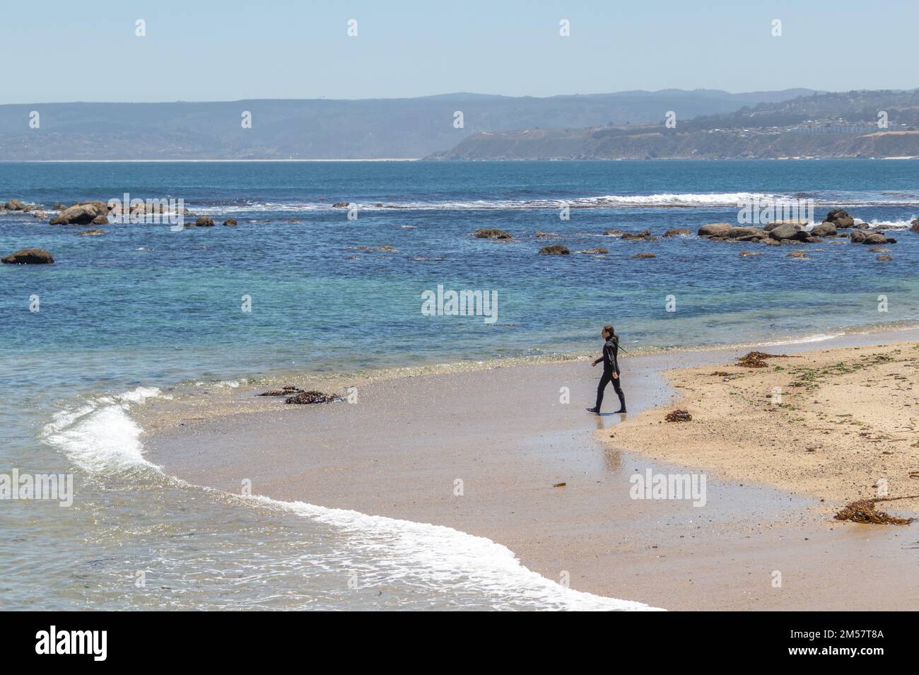 Valparaiso, Chile - Dec, 6, 2022: Diver walking on the sandy Algarrobo ...