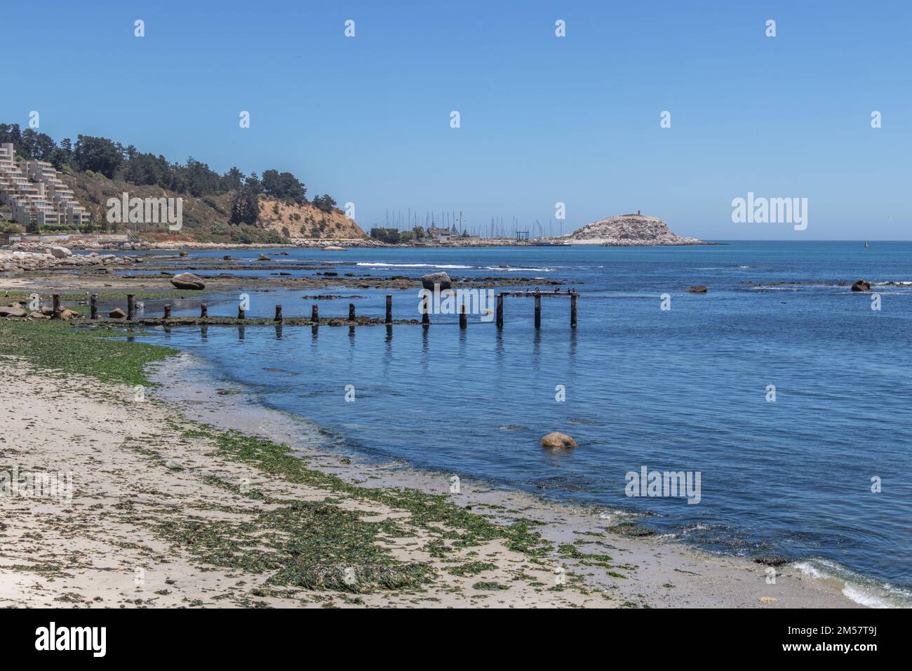 Valparaiso, Chile - Dec, 6, 2022: Sandy Algarrobo beach neart ...