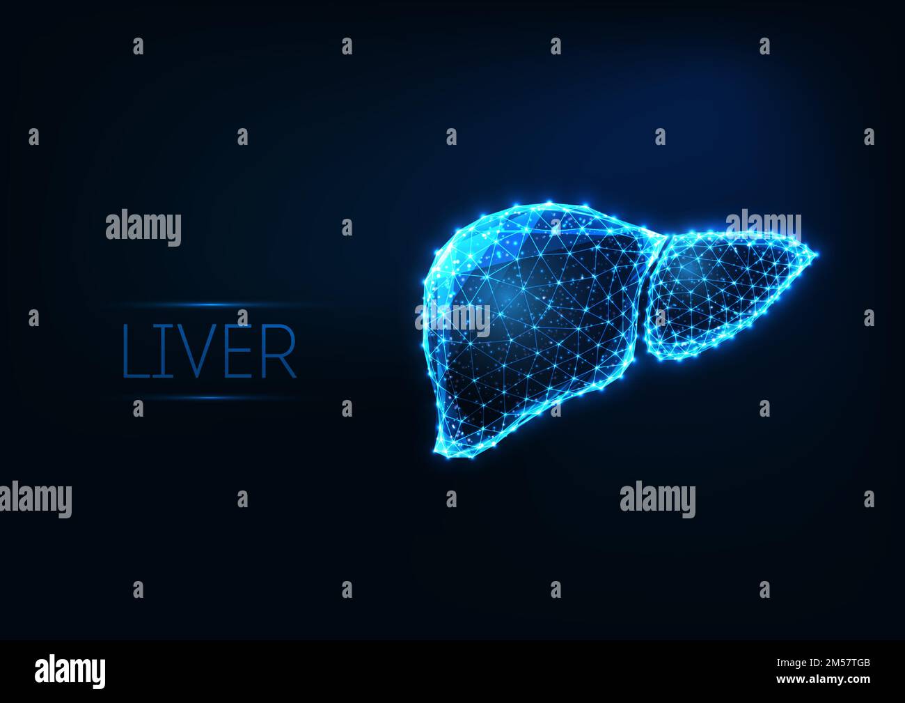 Futuristic glowing low polygonal human liver made of lines, light ...