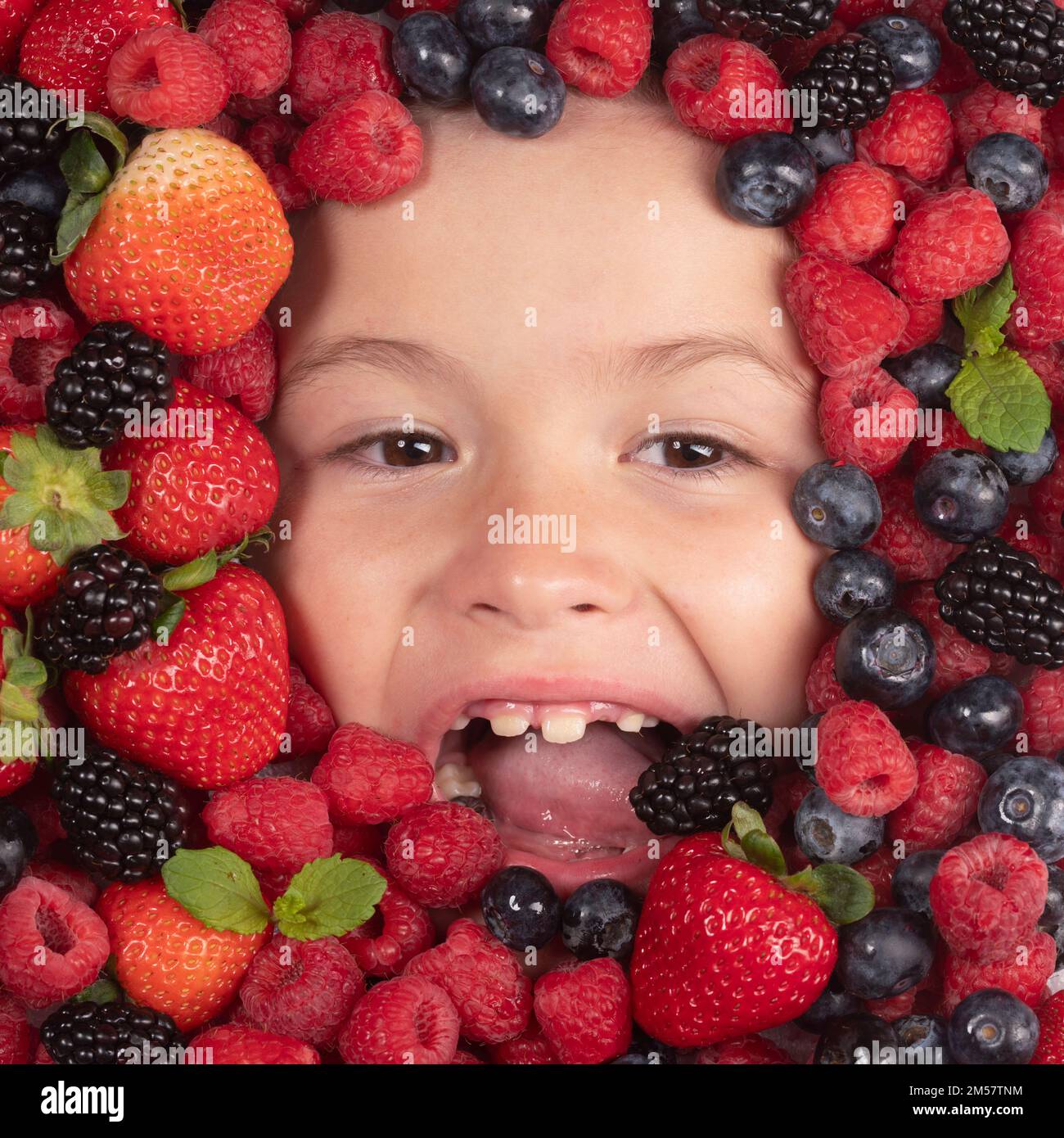 Healthy food for kids. Berries mix of strawberry, blueberry, raspberry ...