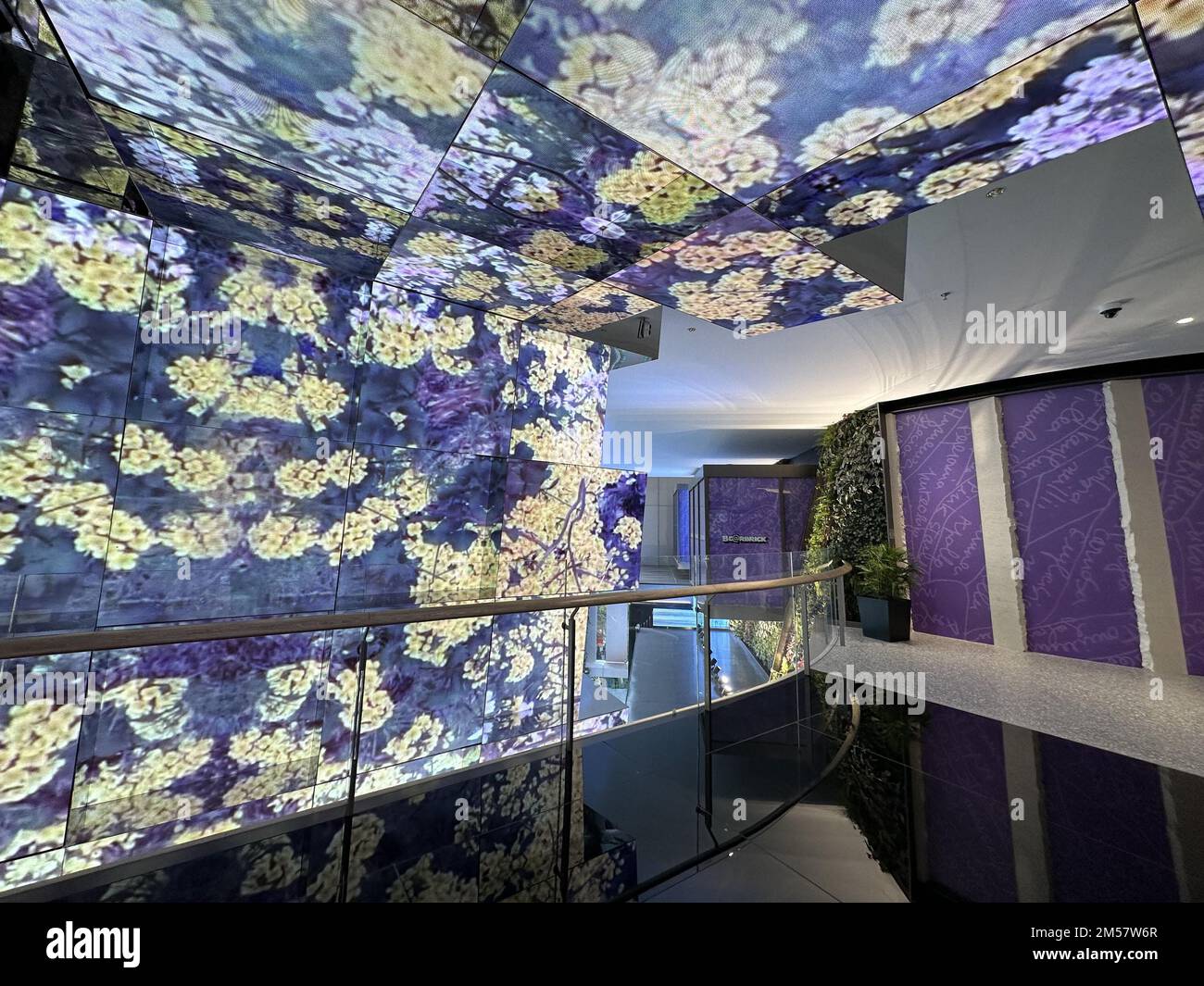 The large LED installations in the newly opened C Future City in ...