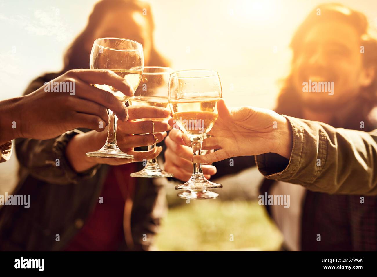 To new friends and new adventures. a group of young friends having fun ...
