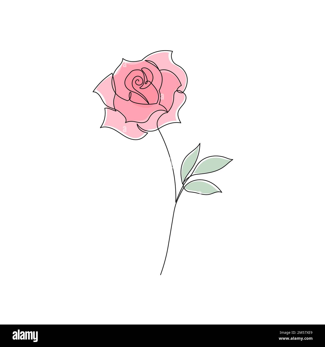 Rose Flower Vector Outline