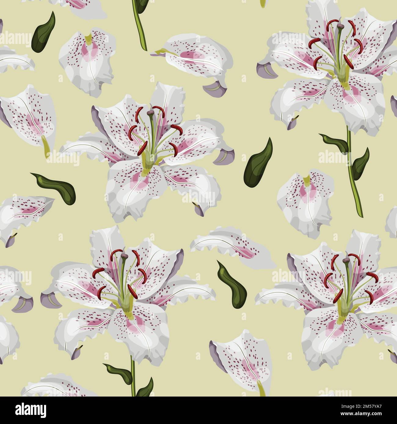 Beautiful oriental lily flowers, leaves and petals on pastel green ...