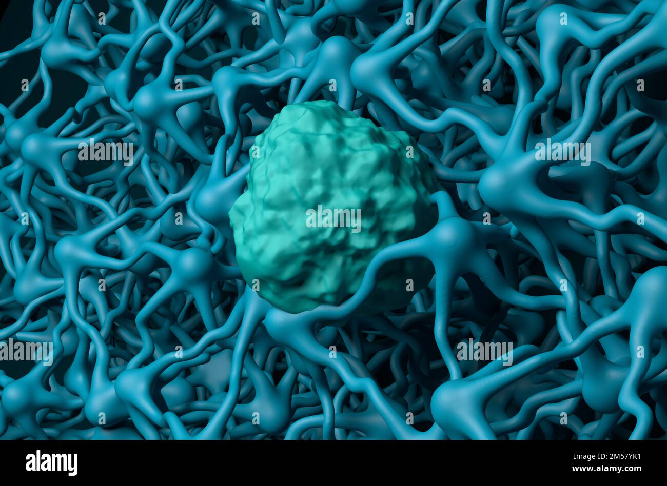 Blood-brain barrier (BBB) in the human brain - closeup view 3d ... Blood-brain barrier (BBB) in the human brain - closeup view 3d ...