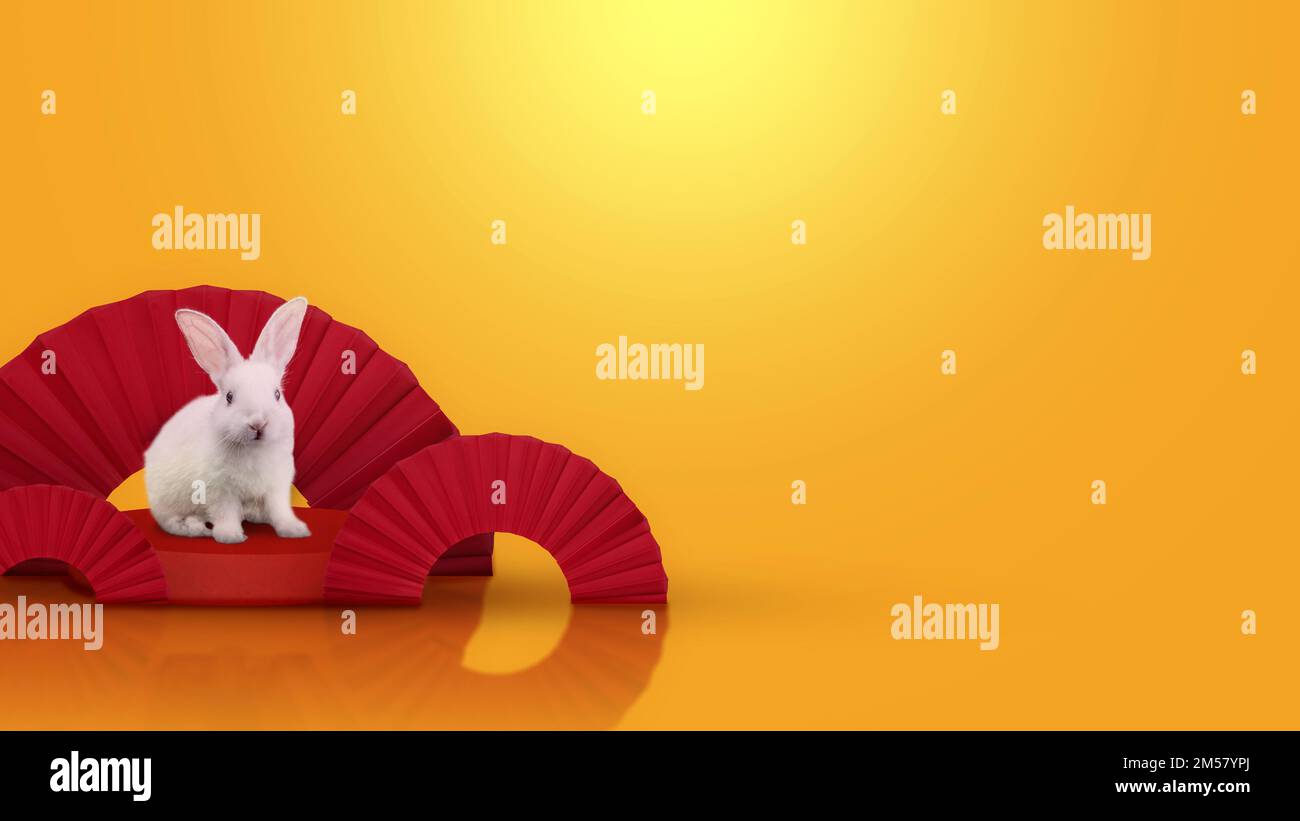 Rabbit with red Chinese fan texture on a colored background. Happy ...