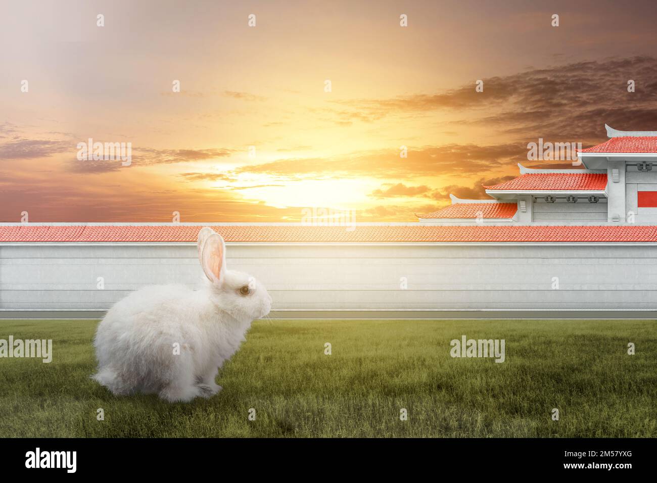 Rabbit on the field with Chinese pavilion gate with red roof and sunset ...