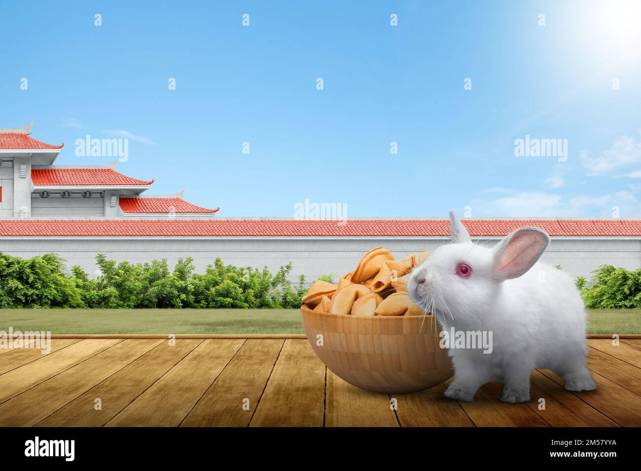 Fortune cookies in the bowl with a rabbit on the table with a Chinese ...