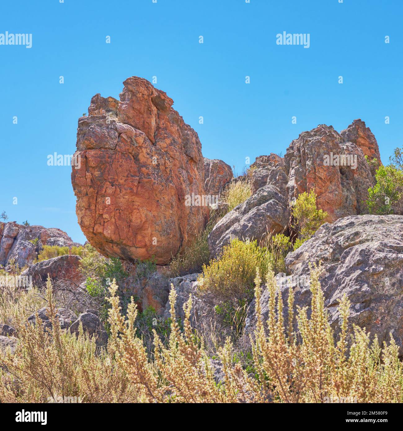 Cedarberg Wilderness Area - South Africa Stock Photo - Alamy