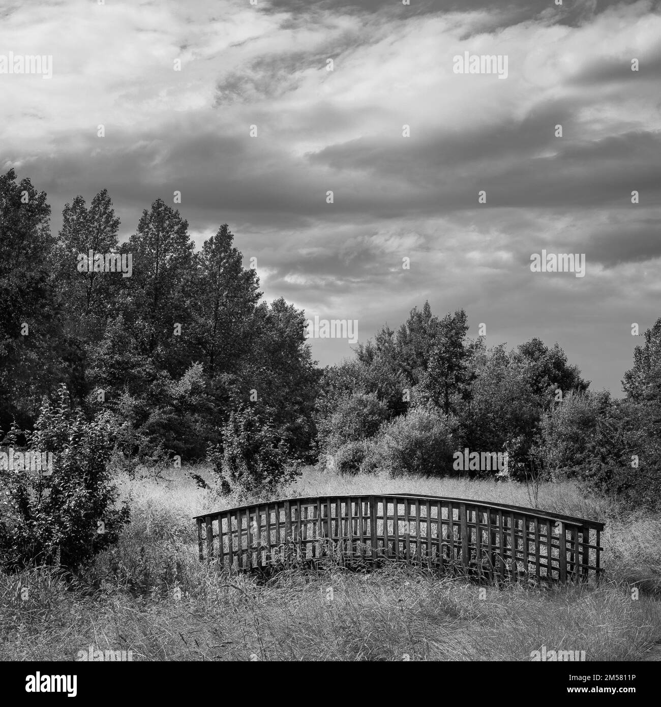 A grayscale shot of a small bridge in a field with dense grees and ...