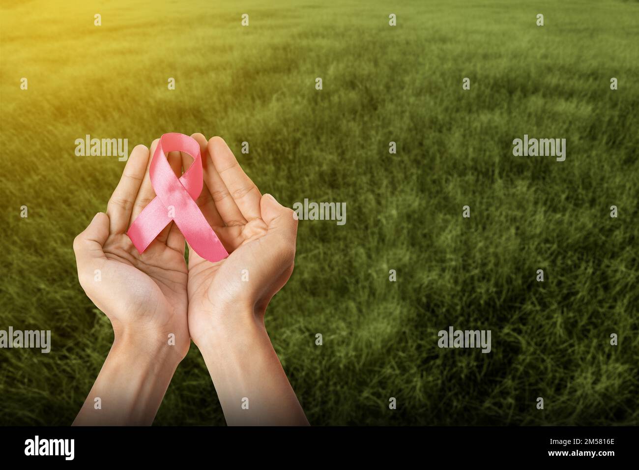 Human hand showing purple ribbons. World Cancer Day Stock Photo - Alamy