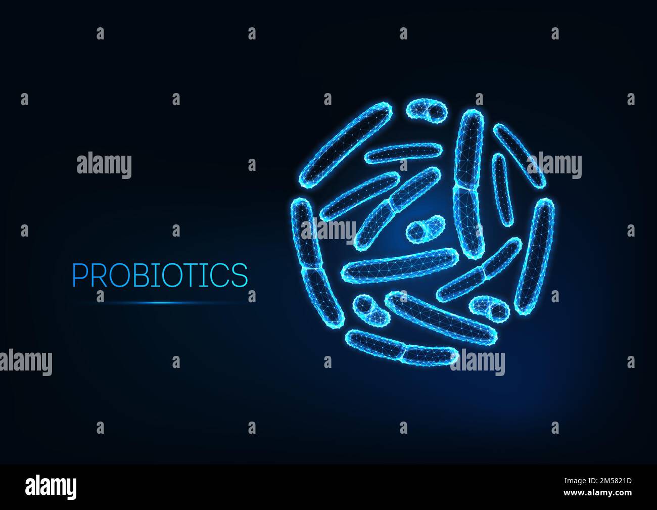 Probiotics under microscope. Gram positive bacteria, bacilli. Normal ...