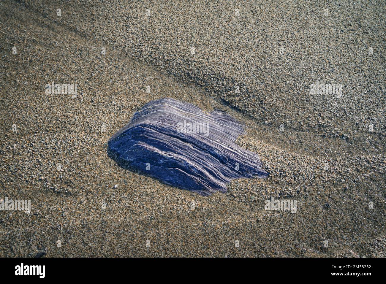 Fluorescent blue slate rock half buried in the sand of a beach in Loiba ...
