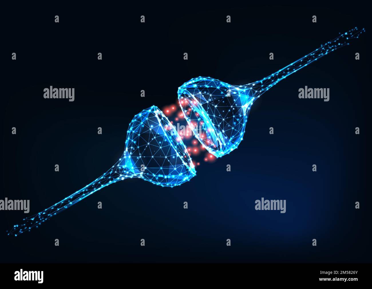 Neural Synapse Electric And Chemical Signals Between Two Neurons