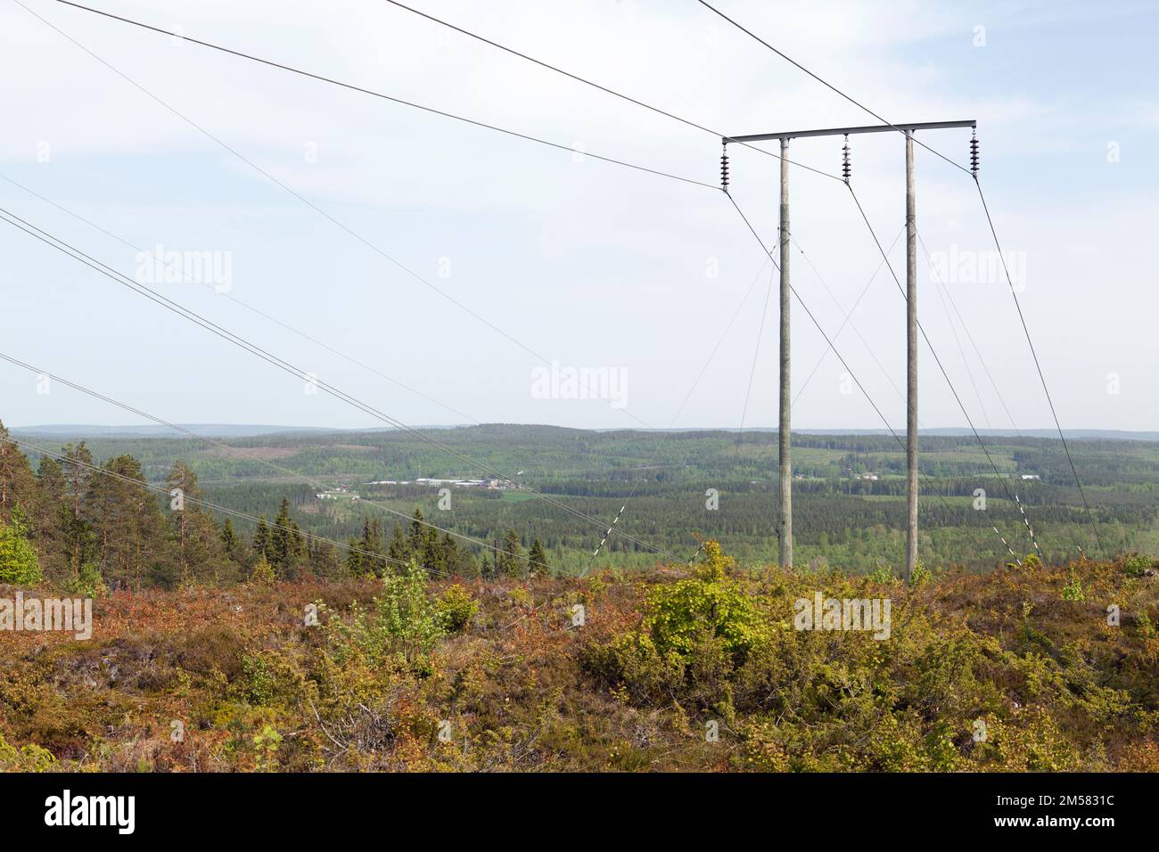 Power line in the woodland. Wires of electricity transmissions in the ...
