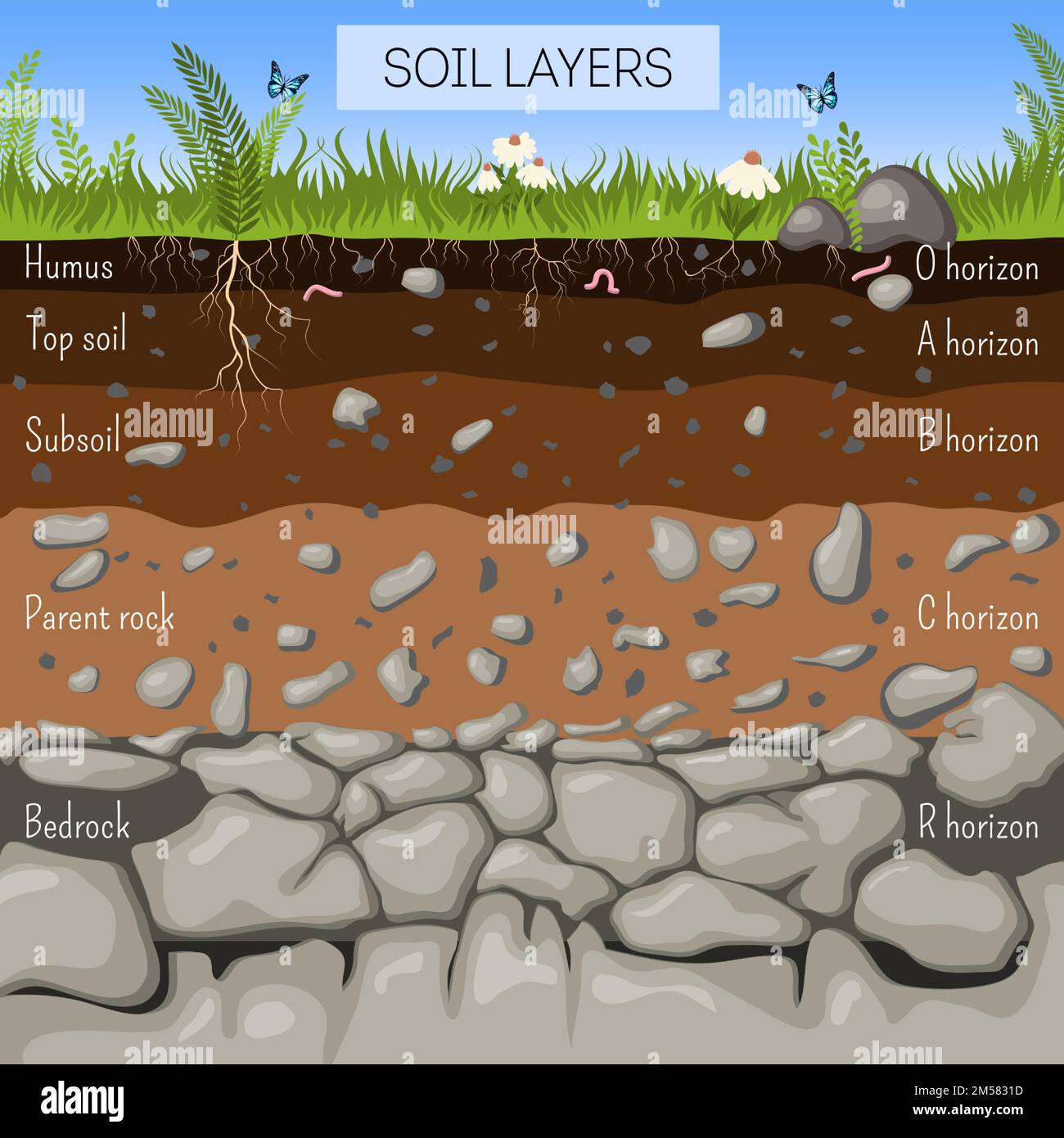 Layers Of The Earth Animated Diagram Free Vector | Layers Of The Earth