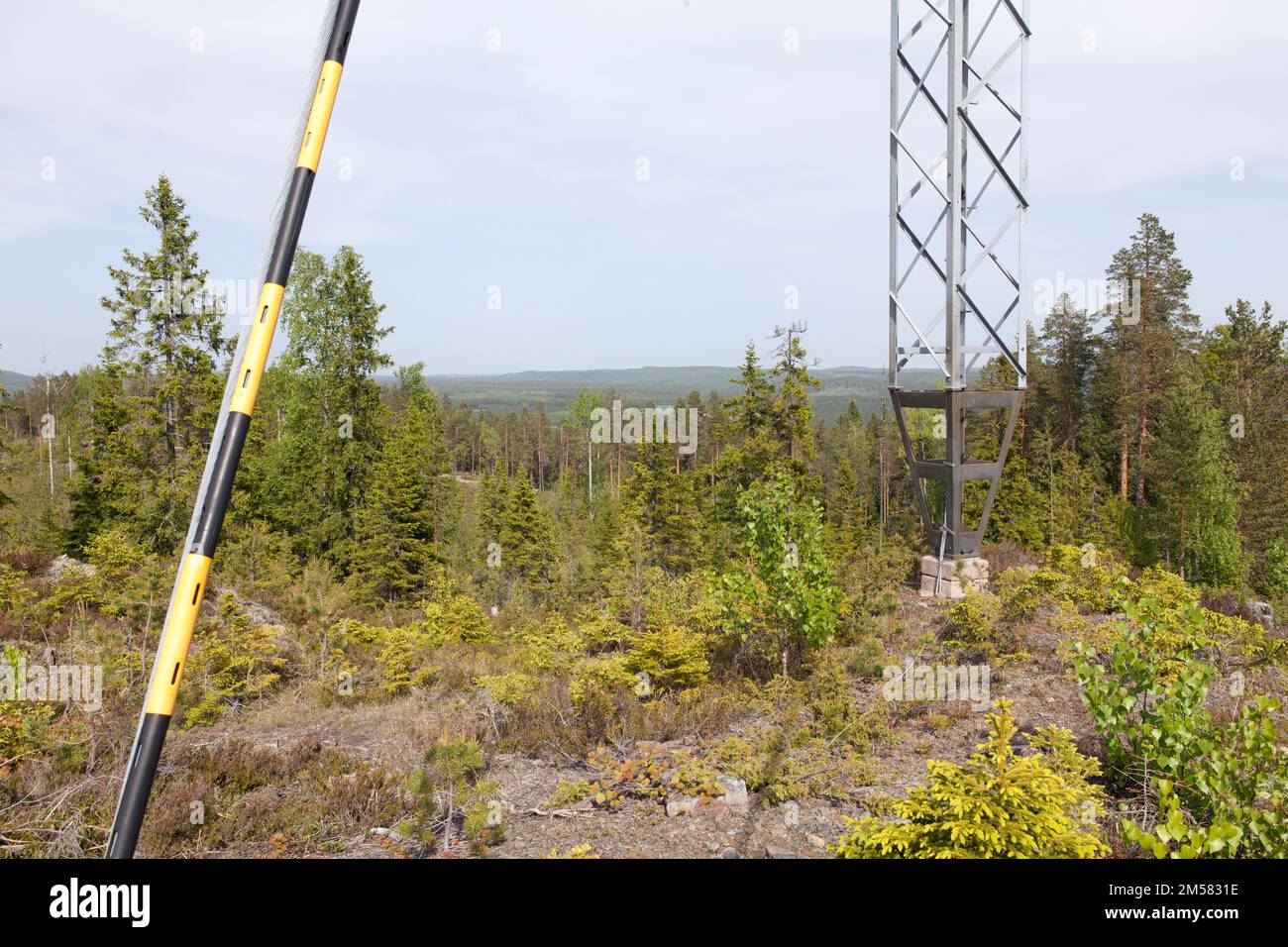 Close up on basement installation of power line in the woodland. Wires ...
