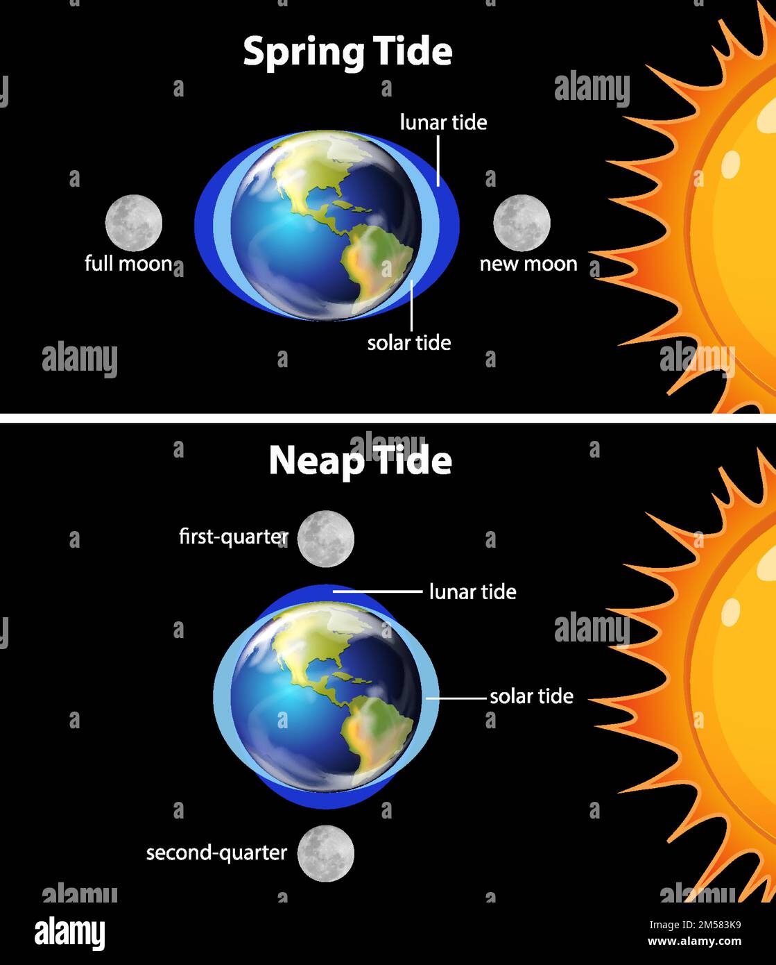 Spring Tides