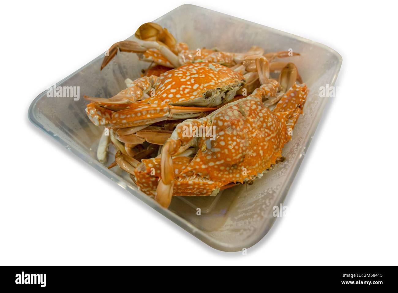 Die cut of Steamed Black Crab or Serrated Mud Crab in plastic box, on ...