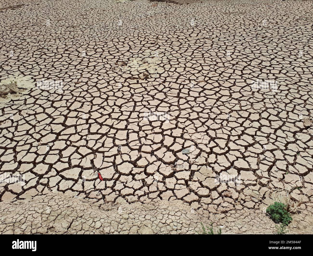 A top view of brown cracked ground in the dry season Stock Photo - Alamy