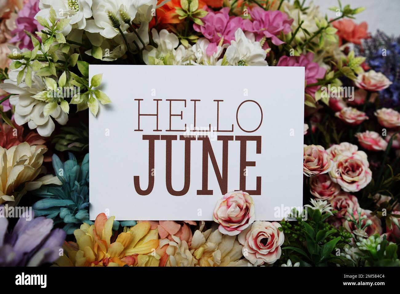 Hello June text message on paper card with beautiful flowers decoration ...