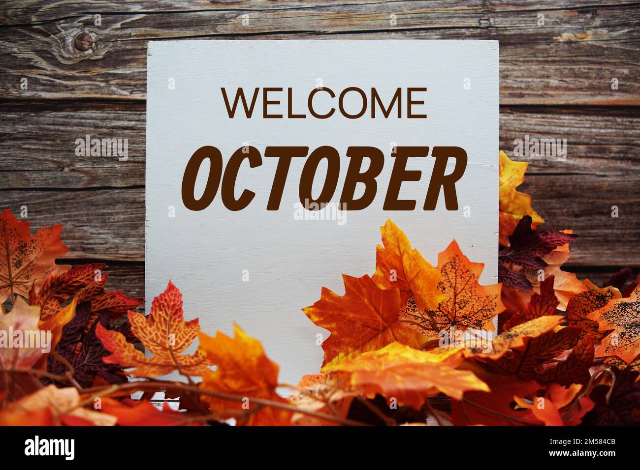Welcome October text message with autumn maple leaves decoration on ...