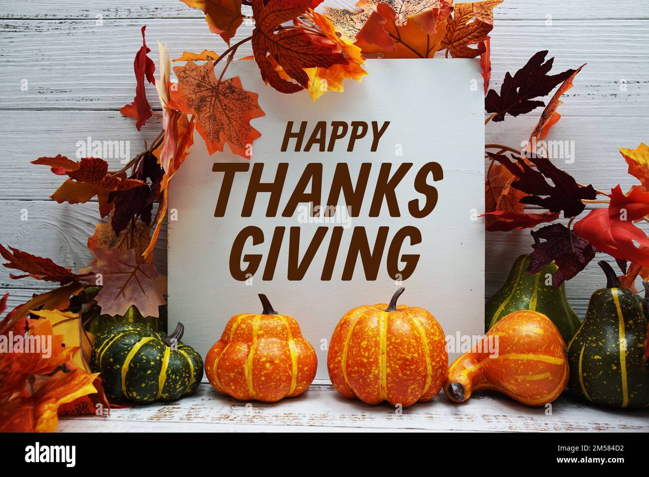 Happy Thanksgiving text message with autumn maple leaves and pumpkins ...