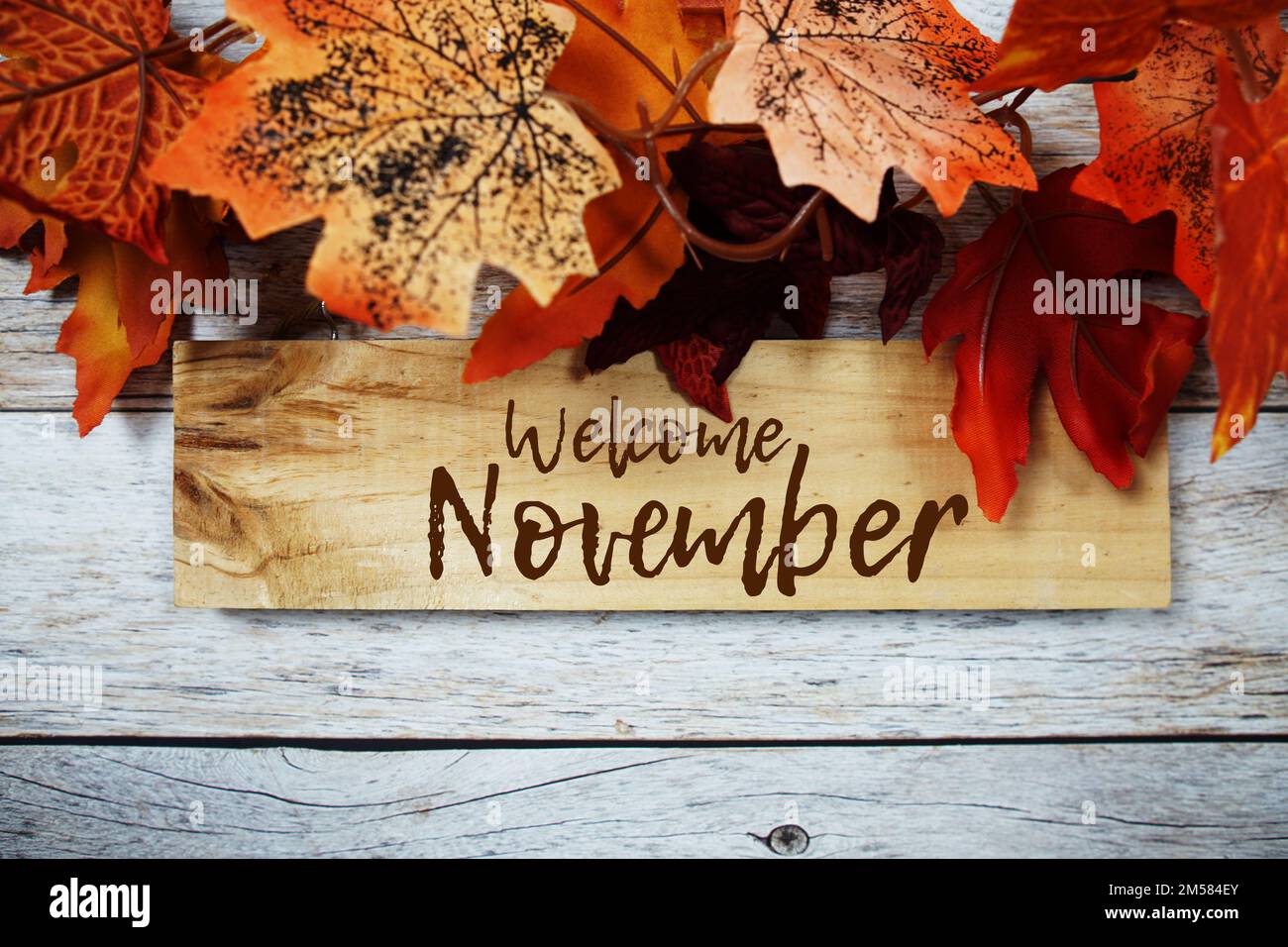 Welcome November text message written on sign board hanging with autumn ...