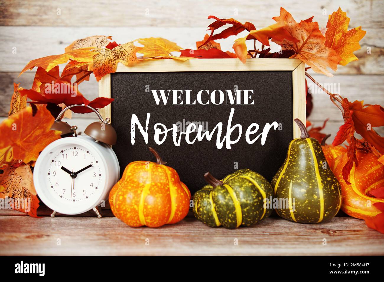 Welcome November text message written on blackboard with pumpkins and ...