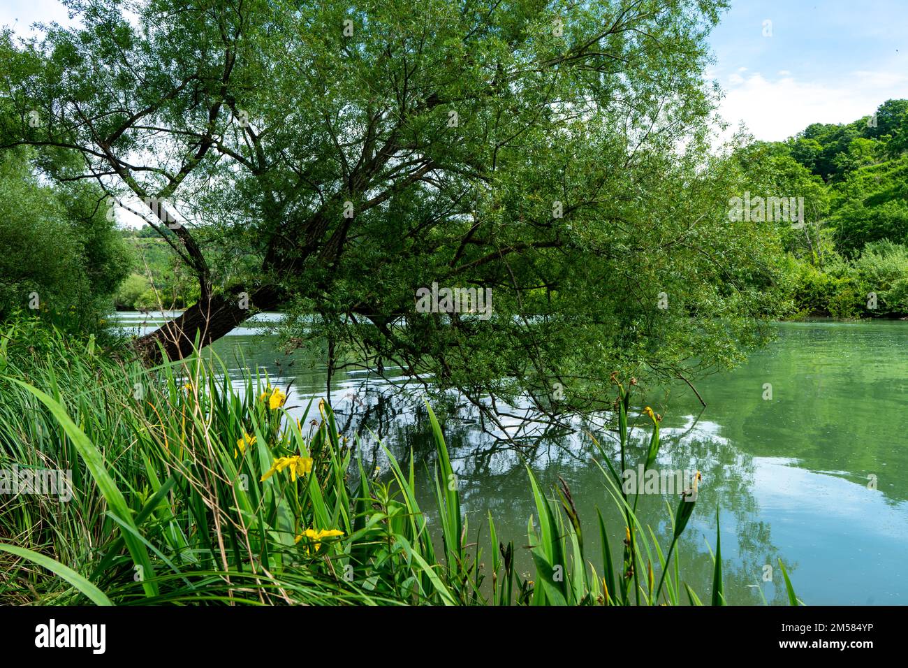 Terme di Suio on the Garigliano river Stock Photo - Alamy