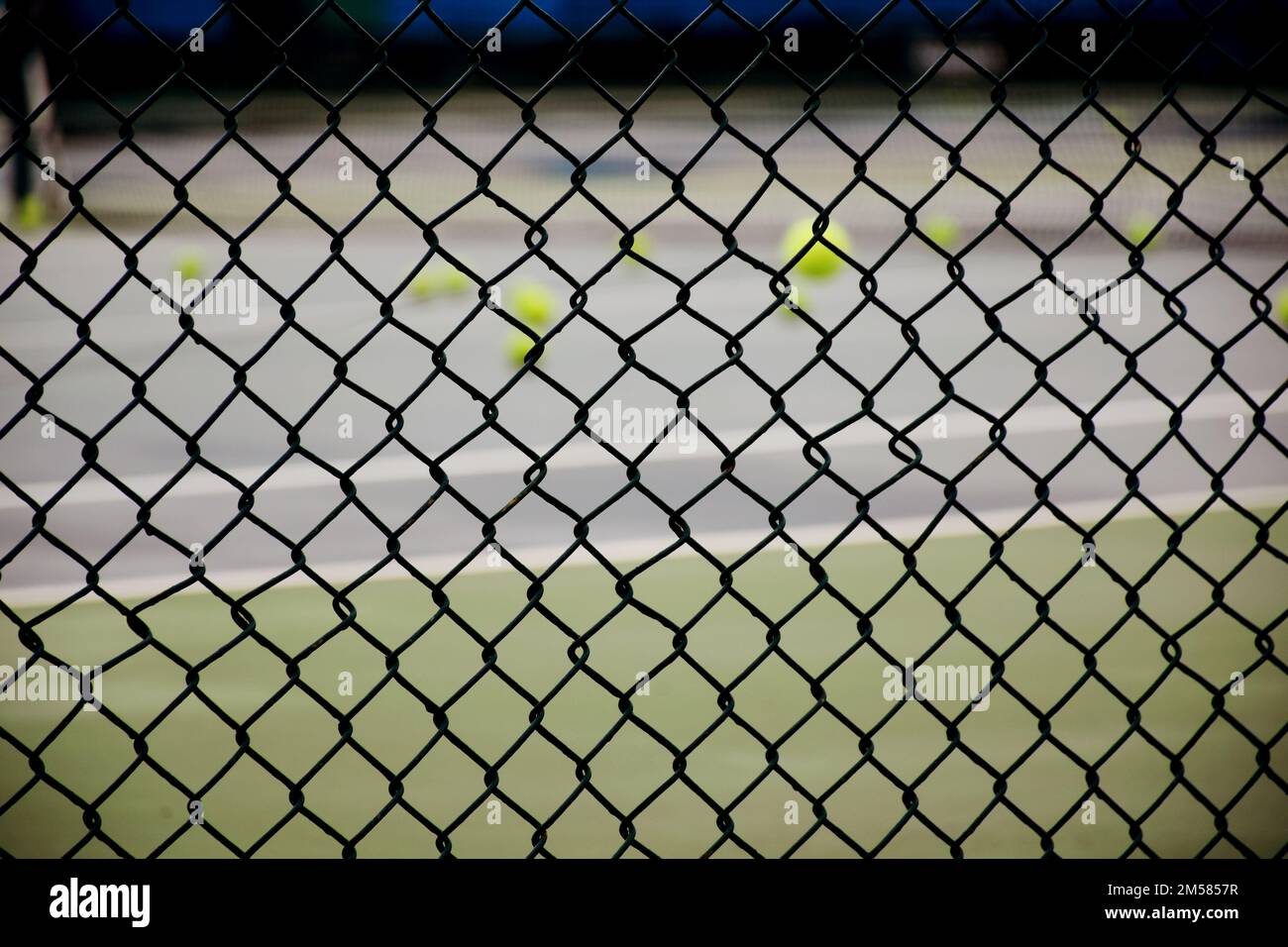 ground court with net and many yellow tennis balls Stock Photo - Alamy