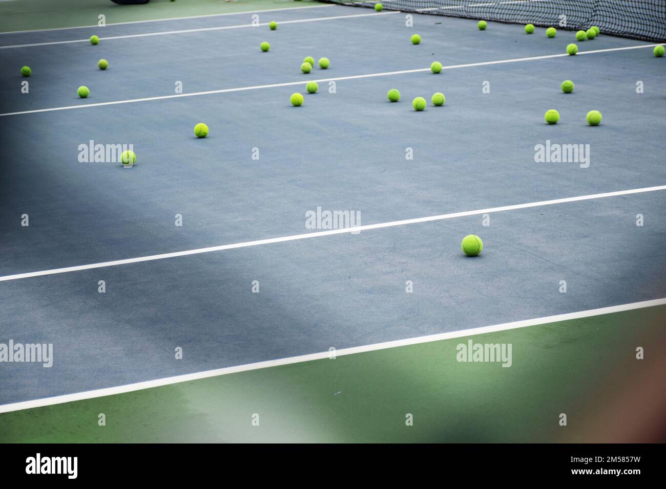 ground court with net and many yellow tennis balls Stock Photo - Alamy