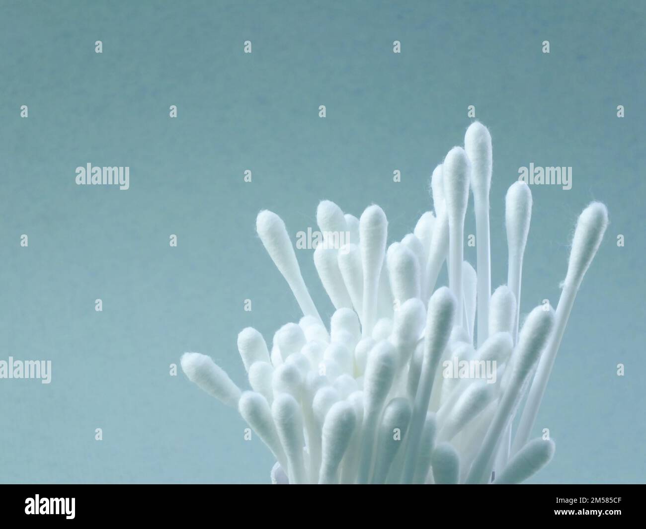 Whitecotton hi-res stock photography and images - Alamy