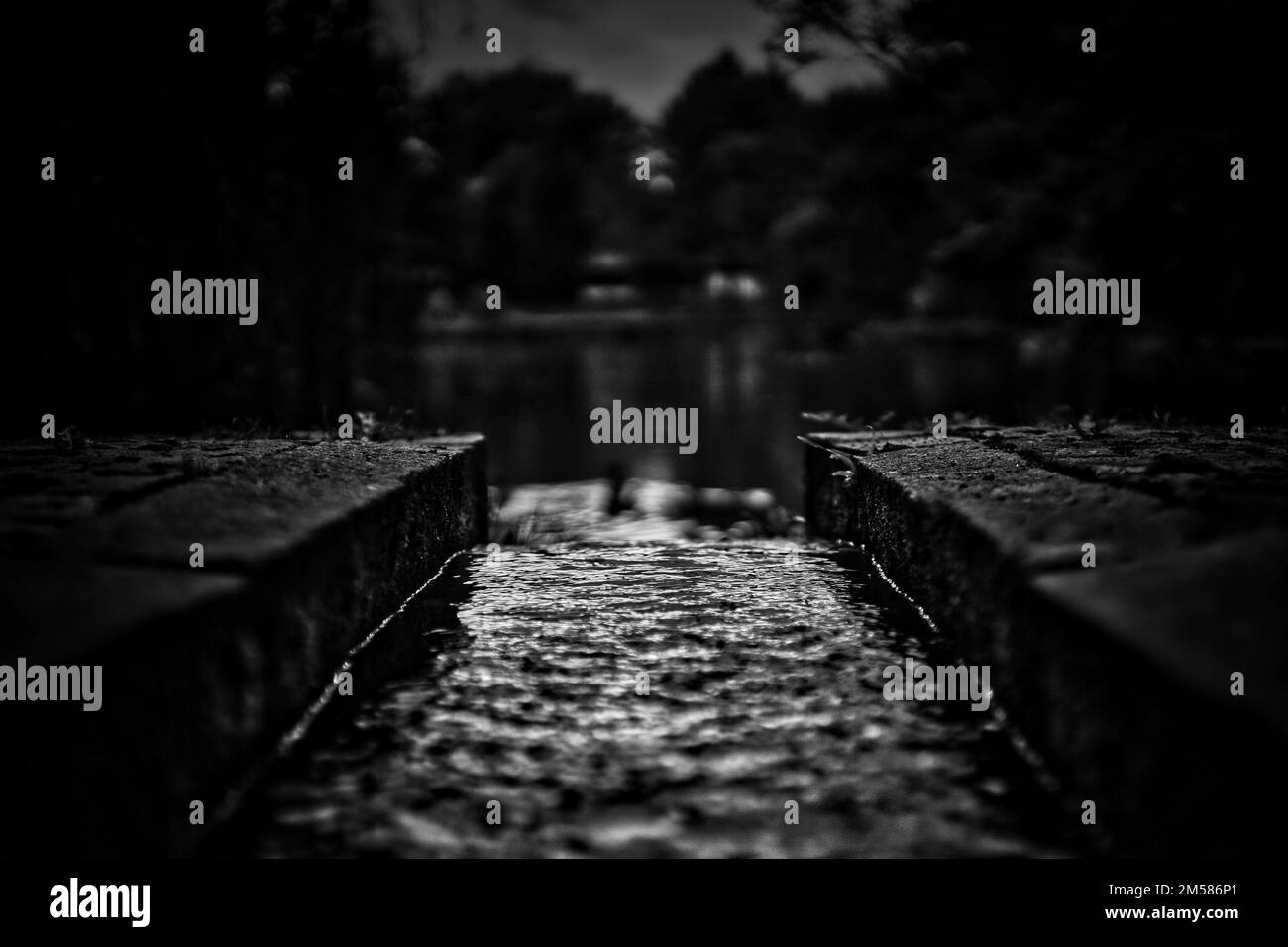 A small stream flows into an lake, grayscale Stock Photo - Alamy