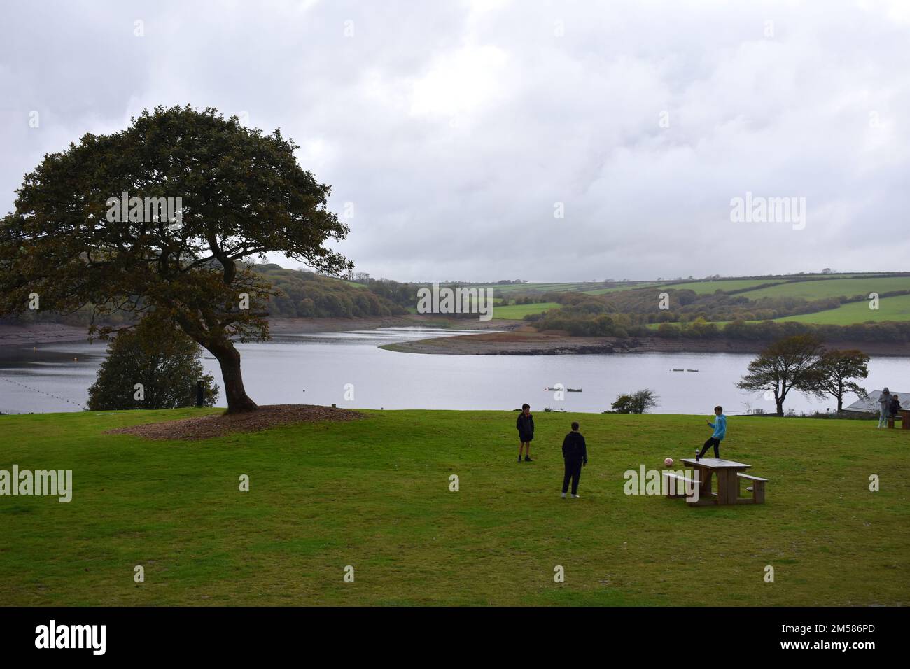 Llys y fran reservoir and country park, Pembrokeshire, Wales Stock ...