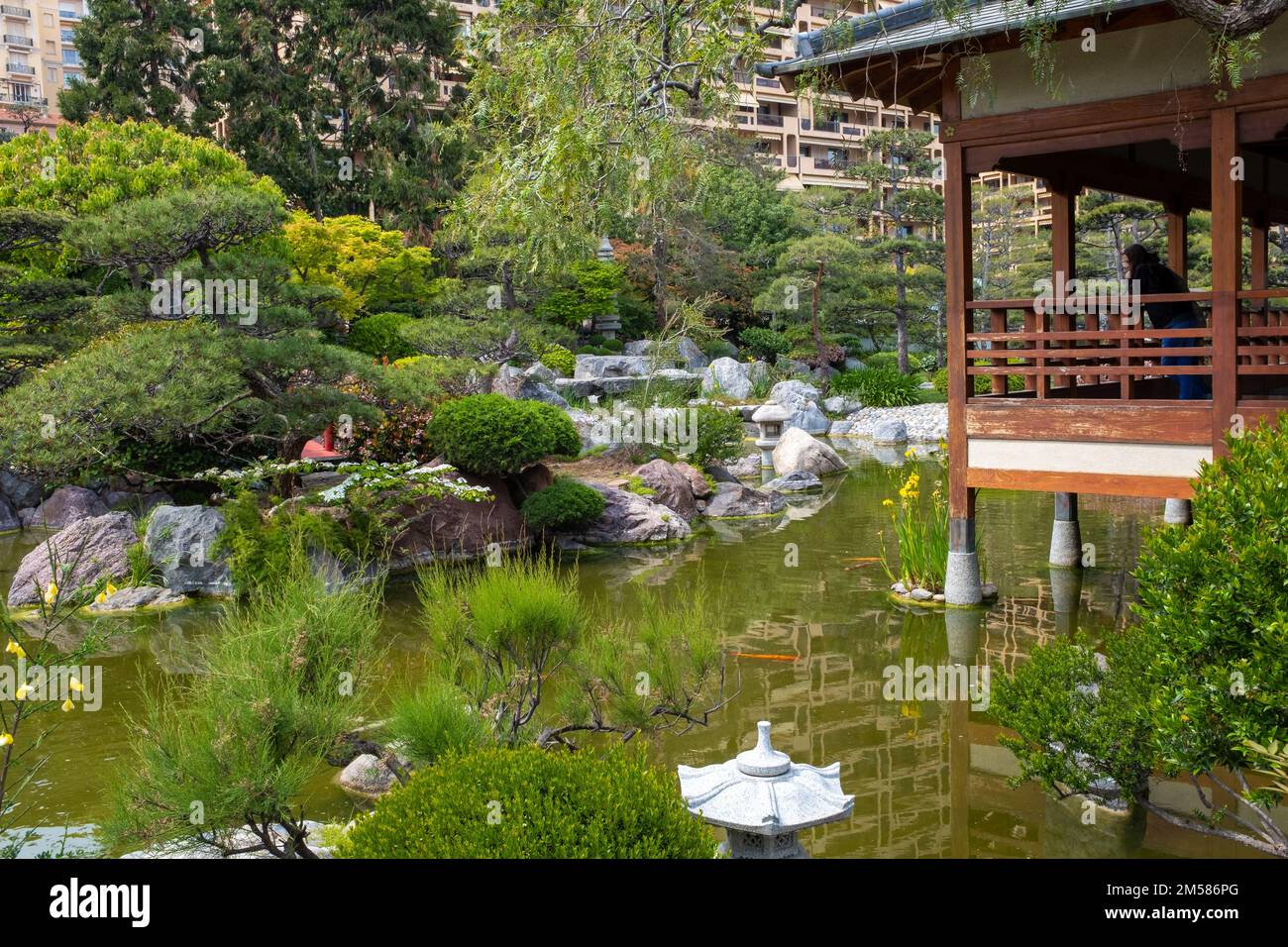 Monaco - May 3, 2022: An unrecognisable man is looking at a pond of the Japanese garden of ...