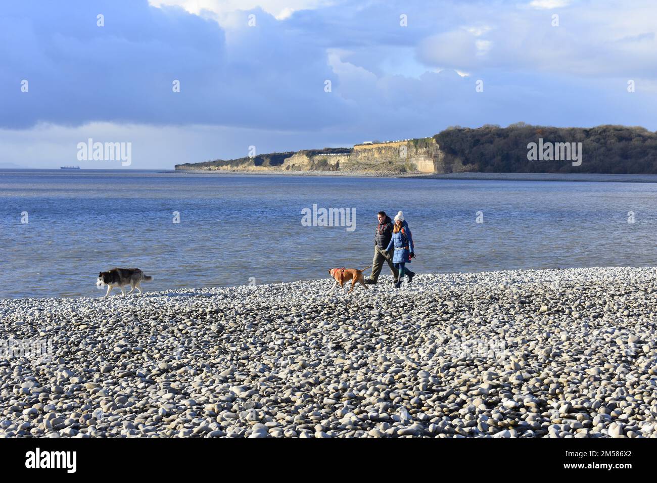 Man and woman walking their dogs on Cold Knap beach, Barry, South Wales ...