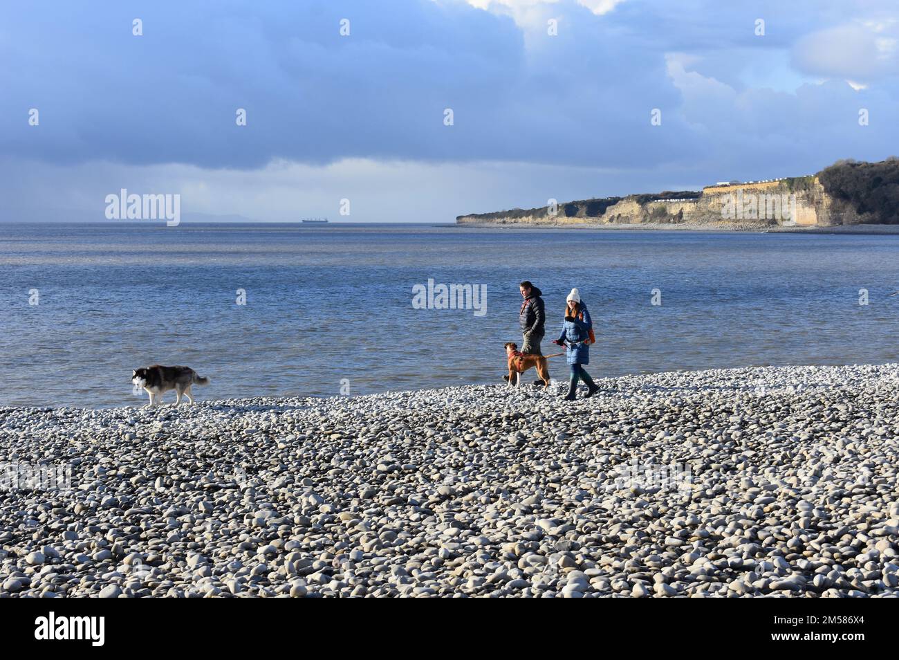 Man and woman walking their dogs on Cold Knap beach, Barry, South Wales ...