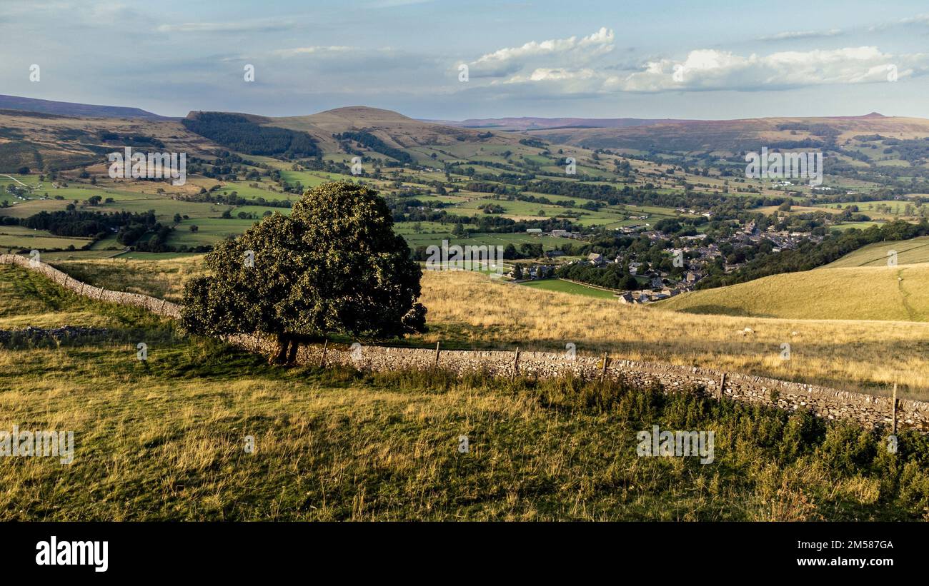 A vast meadow on the hill on a sunny day Stock Photo - Alamy