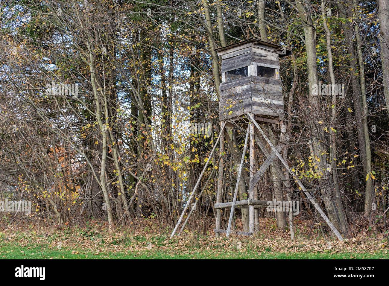 Tall hunting stand hi-res stock photography and images - Alamy