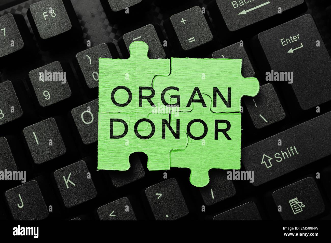 Handwriting text Organ Donor. Business idea A person who offers an ...