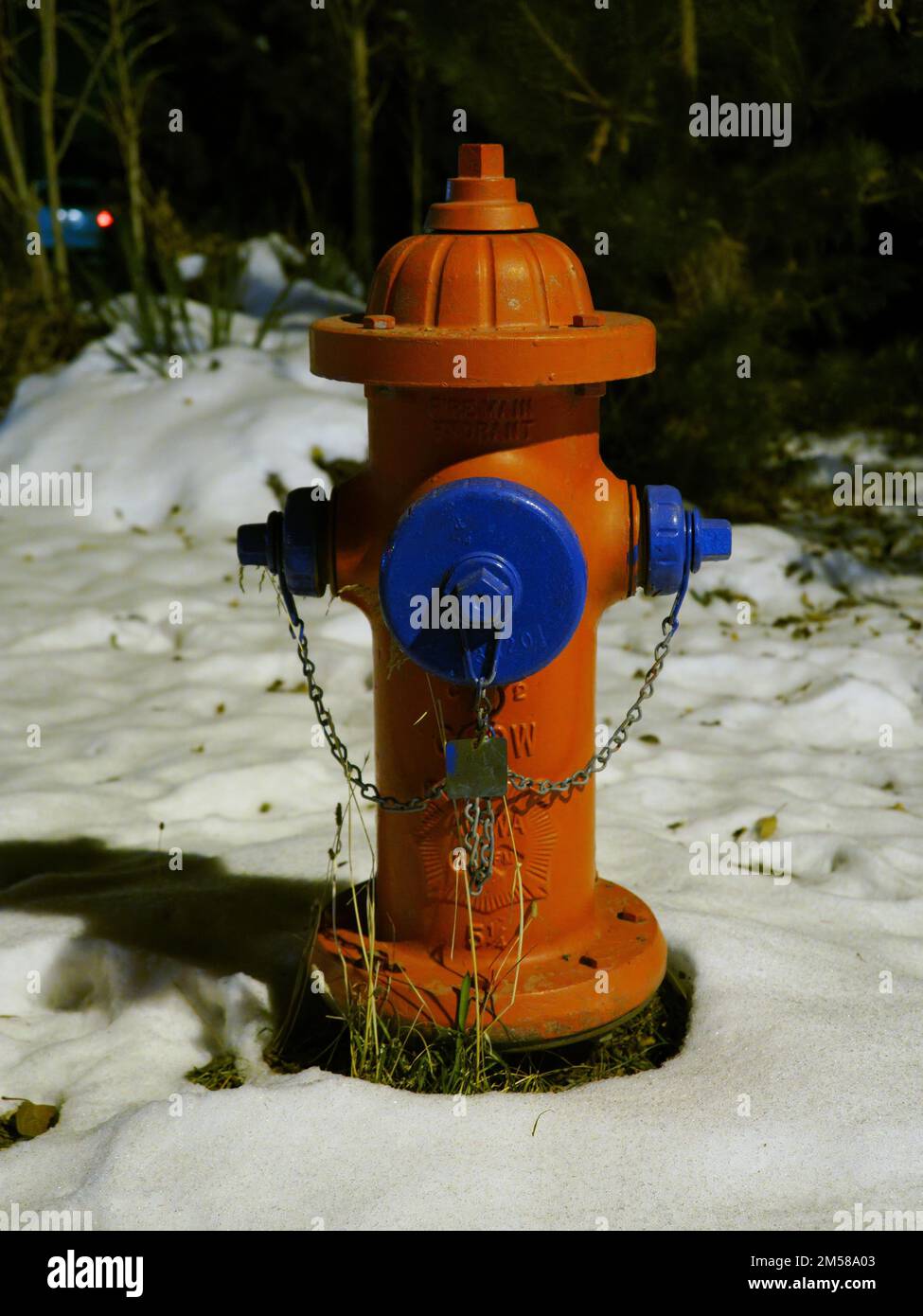 Vertical shot forest fire hi-res stock photography and images - Alamy