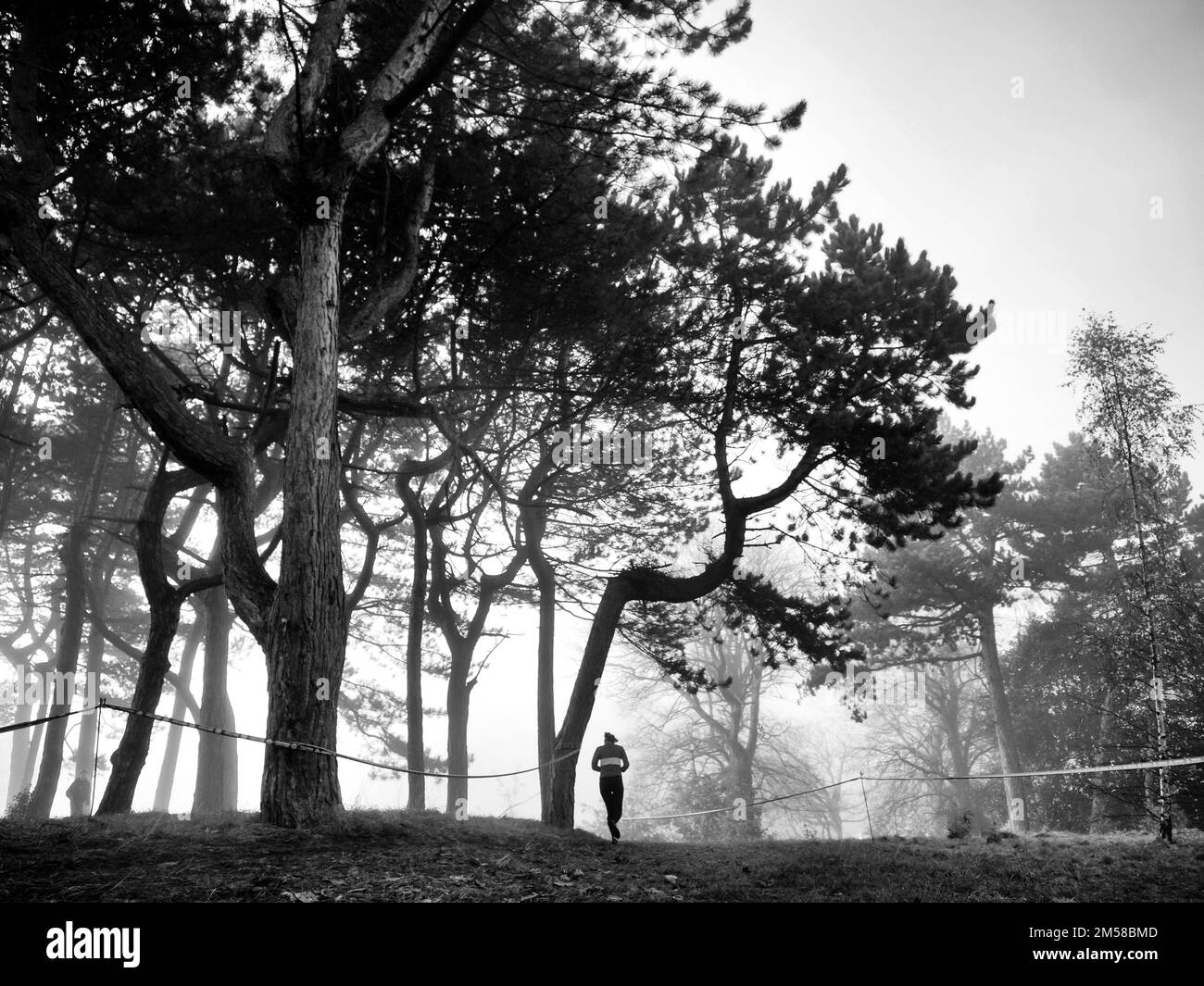 BRITISH ATHLETICS CROSS CHALLENGE. Sefton Park Liverpool 26.11.16 ...