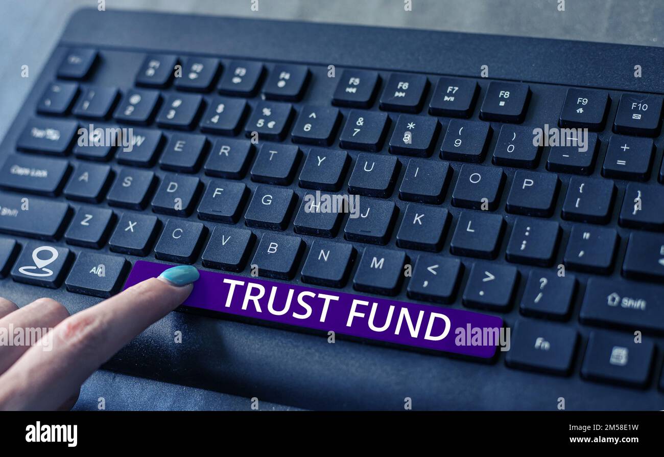 Text showing inspiration Trust Fund. Internet Concept money that is ...