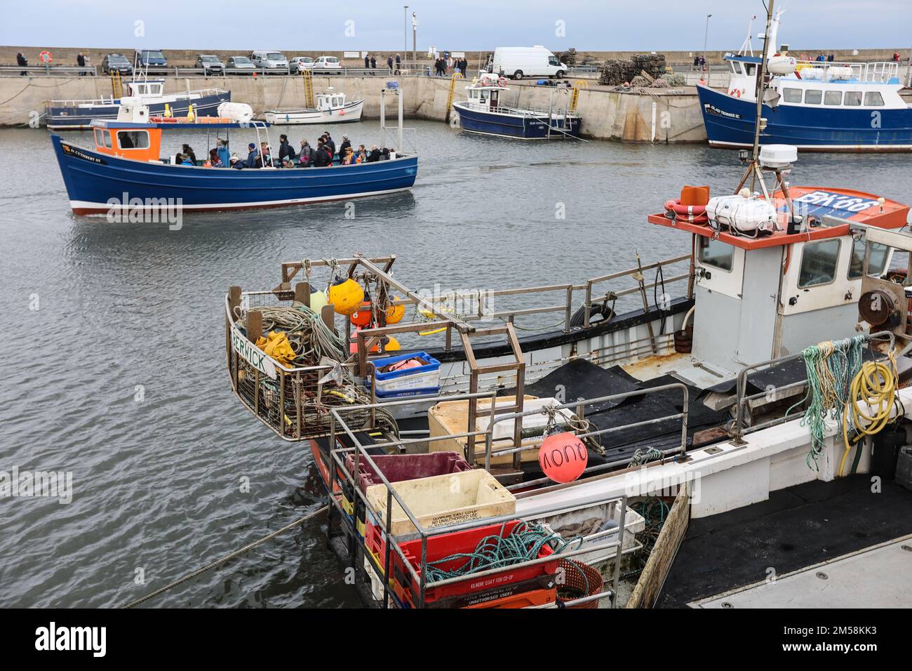 Seahouses,harbour,popular,setting,off,point,for,tourist,boat trips ...