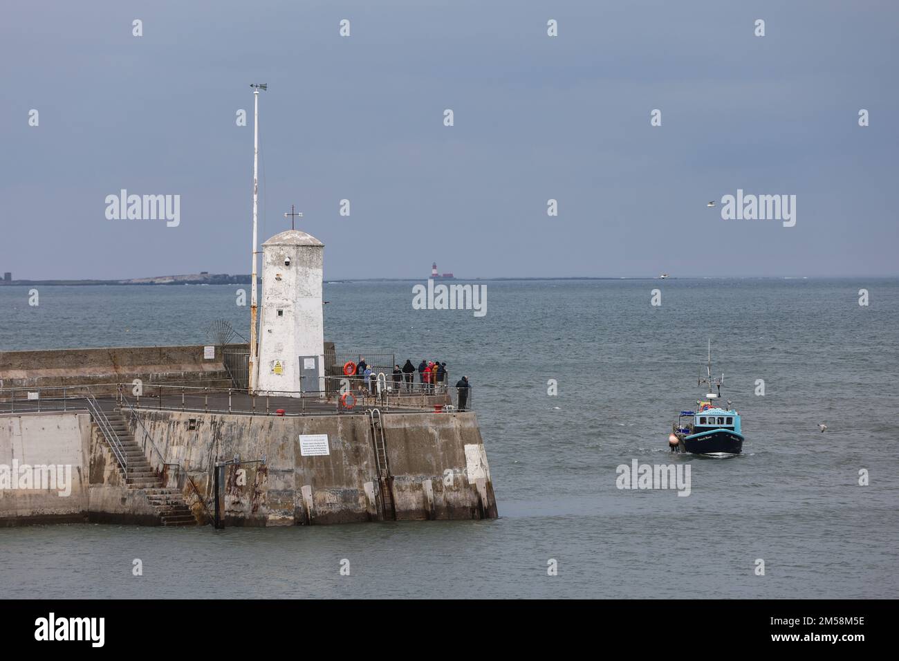 Seahouses,harbour,popular,setting,off,point,for,tourist,boat trips ...