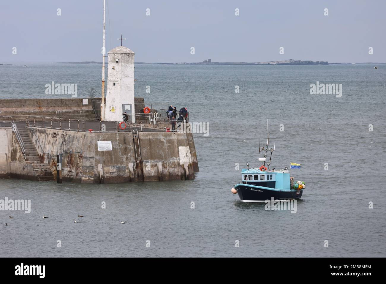 Seahouses,harbour,popular,setting,off,point,for,tourist,boat trips ...